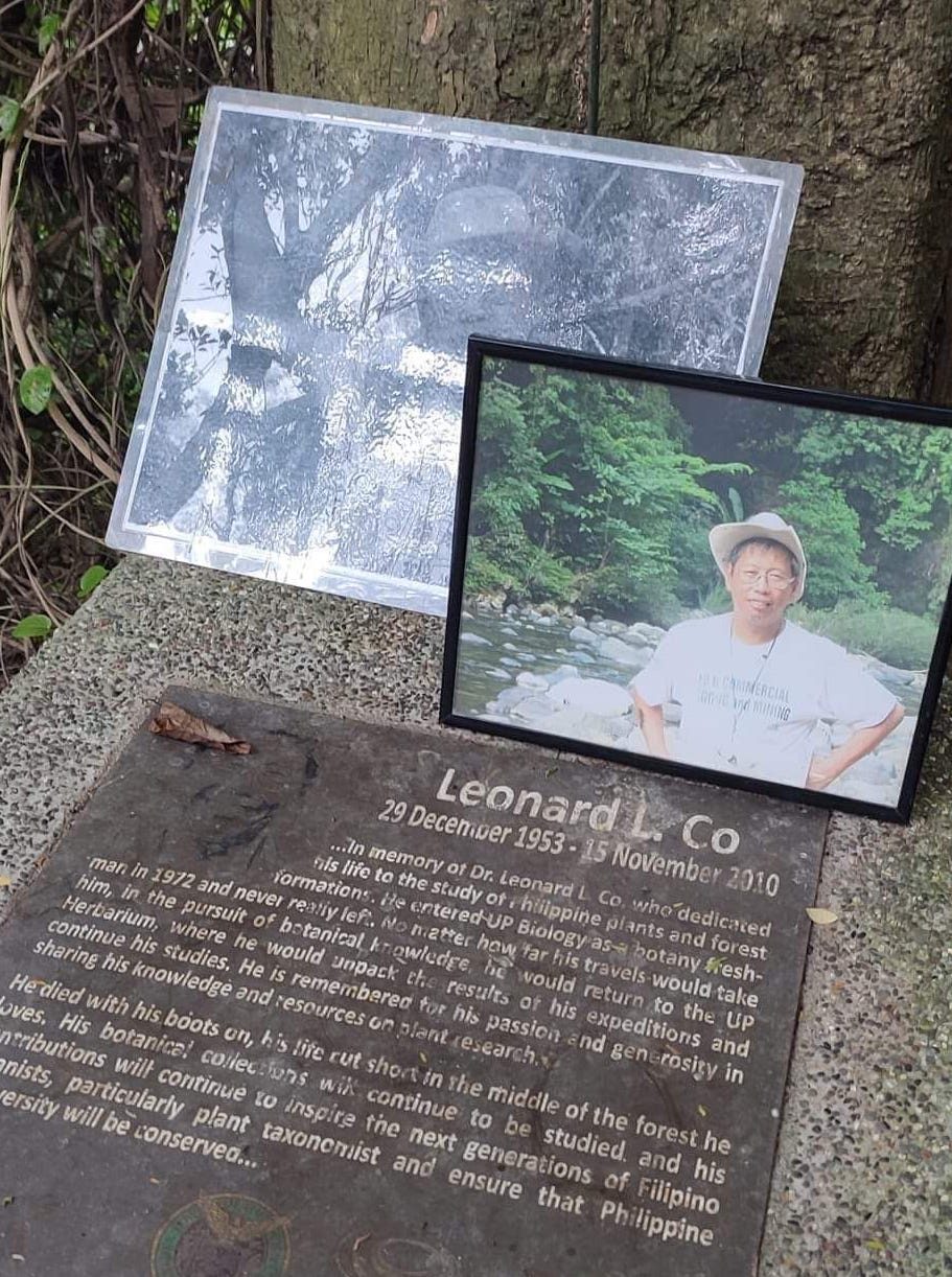 13 years later, slain Filipino botanist Leonard Co’s legacy endures