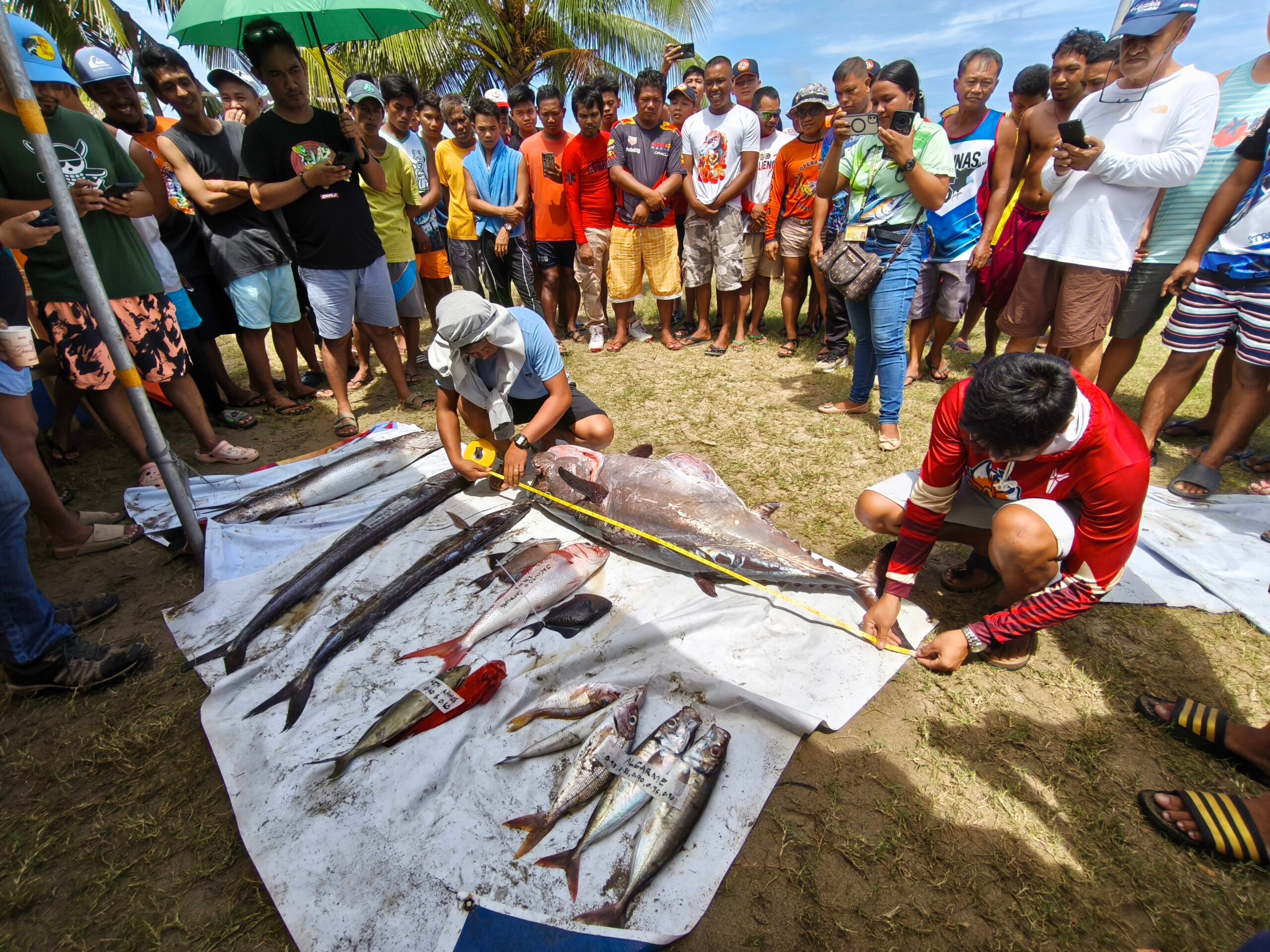 Fish, tourism, and sustainability: Sipalay bets on sport fishing