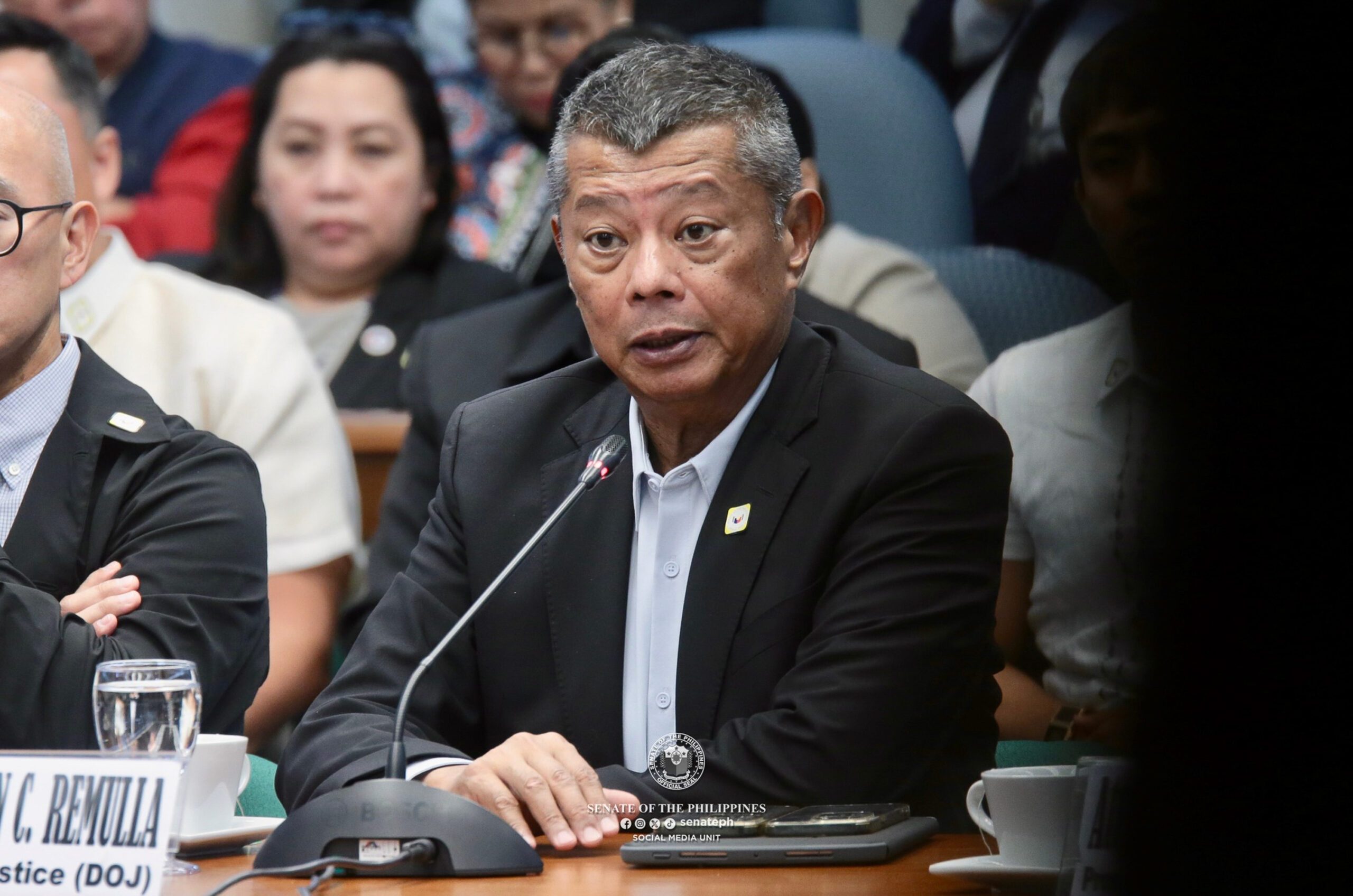Boying Remulla appointed as new Ombudsman