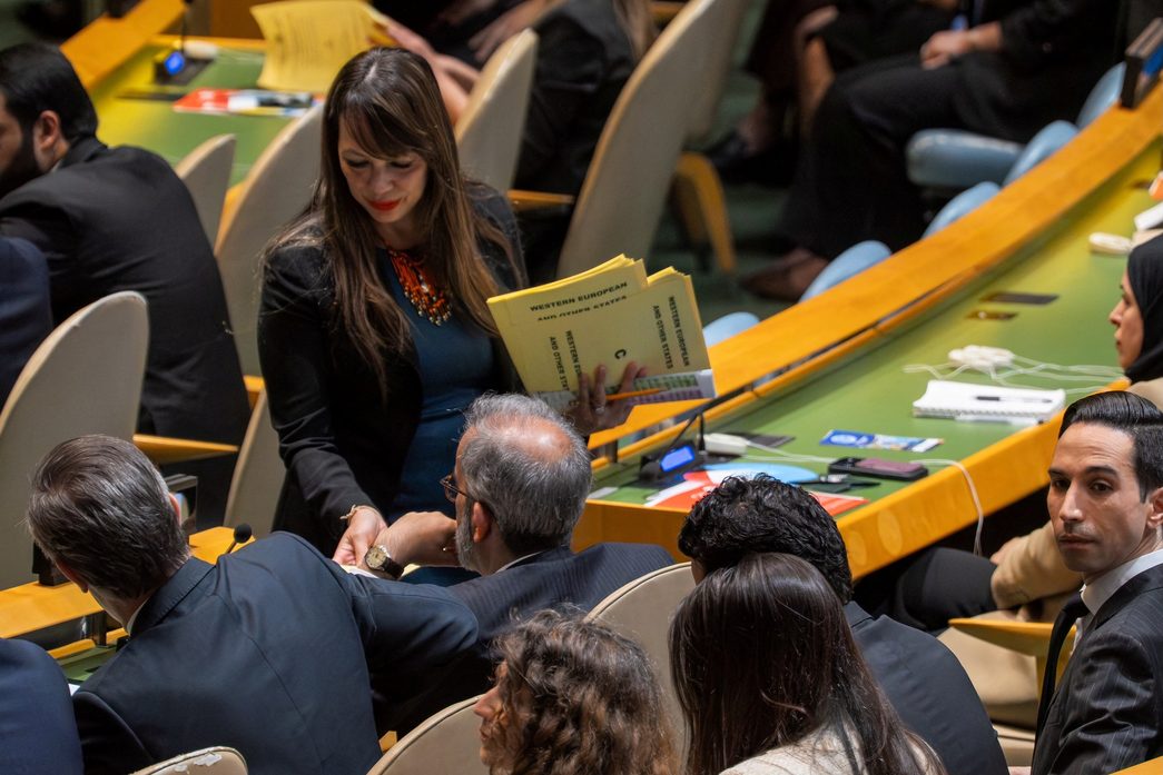5 countries elected to UN Security Council; Germany misses out