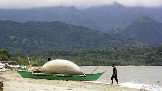 Protect the Verde Island Passage